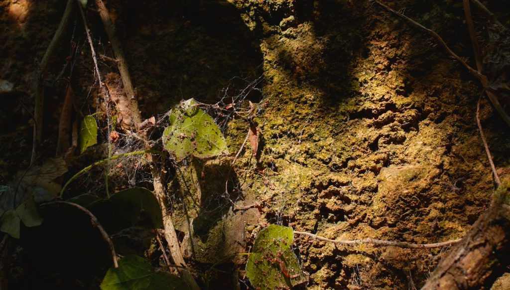 Els Sots Ferèstects - Portafolio - Mecânica Films